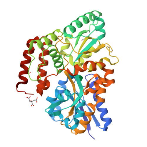 RCSB PDB - 6JBA: Crystal structure of ABC transporter alpha-glycoside ...