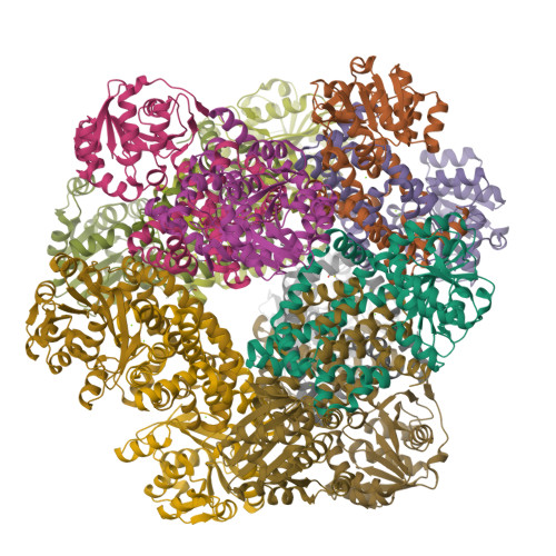 RCSB PDB - 6JD2: Crystal structure of Sulfolobus solfataricus ketol ...