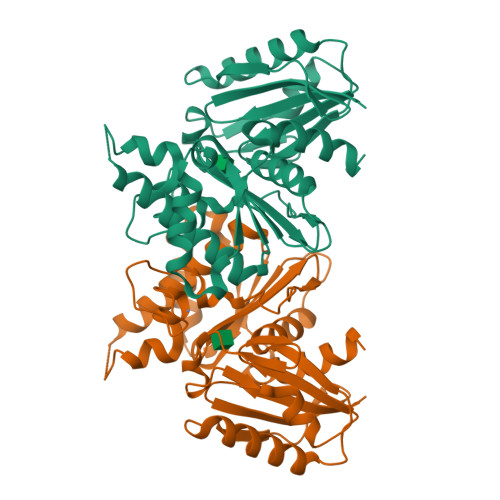 RCSB PDB - 6JDC: Crystal structure of N-acetyl mannosmaine kinase in ...
