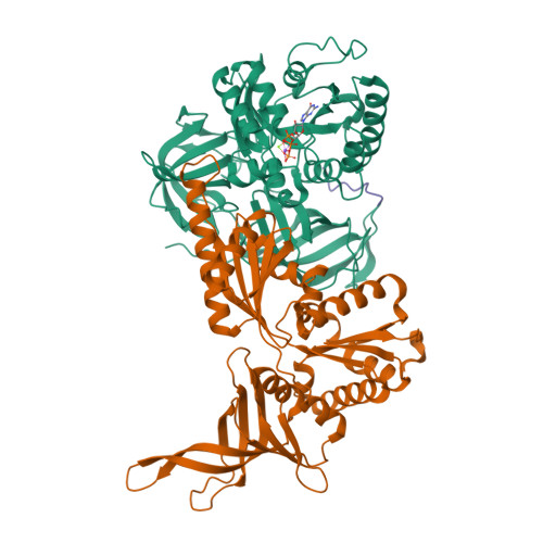RCSB PDB - 6JI2: Crystal structure of archaeal ribosomal protein aP1 ...