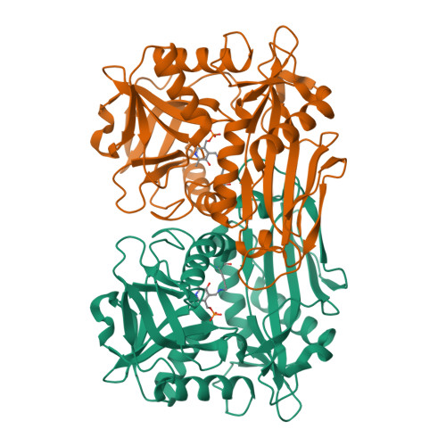 RCSB PDB - 6JIF: Crystal Structures of Branched-Chain Aminotransferase ...