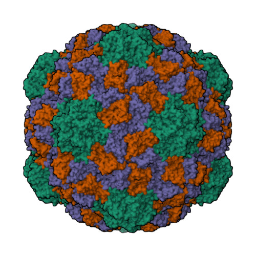 RCSB PDB - 6JJC: Cryo-EM structure of giant freshwater prawn ...