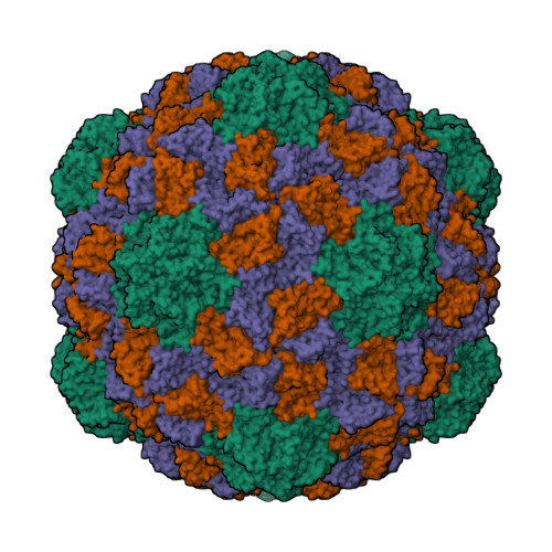 RCSB PDB - 6JJD: Cryo-EM structure of giant freshwater prawn ...