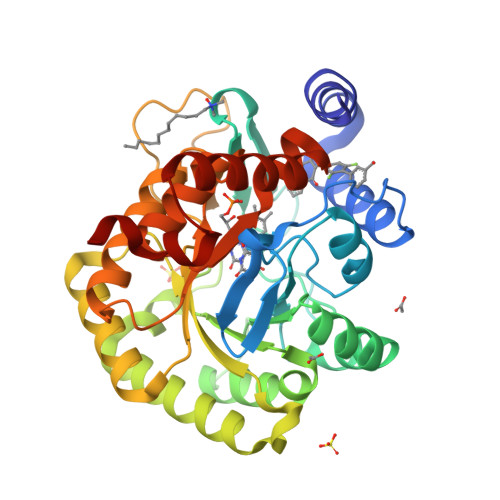 RCSB PDB - 6JMD: Crystal structure of human DHODH in complex with ...