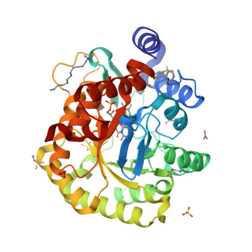 RCSB PDB - 6JME: Crystal structure of human DHODH in complex with ...