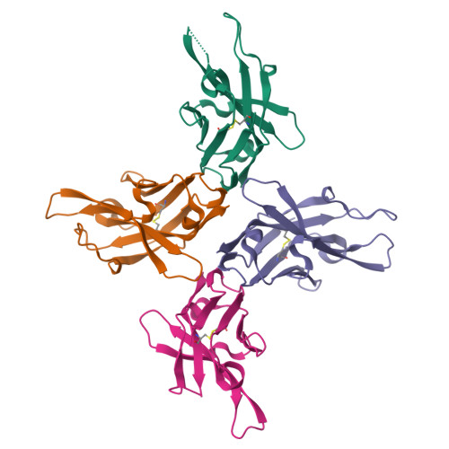 RCSB PDB - 6JRI: Crystal structure of Nanobody