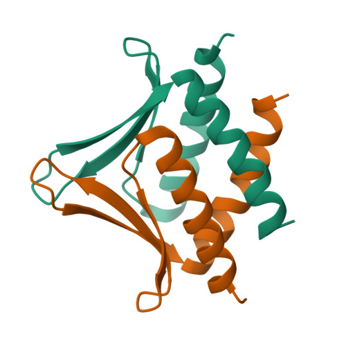 RCSB PDB - 6JSX: Structure of a flagellin protein, HpFlaG