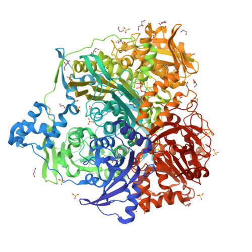 RCSB PDB - 6JT8: Crystal structure of 450-451_deletion mutant of FGAM ...