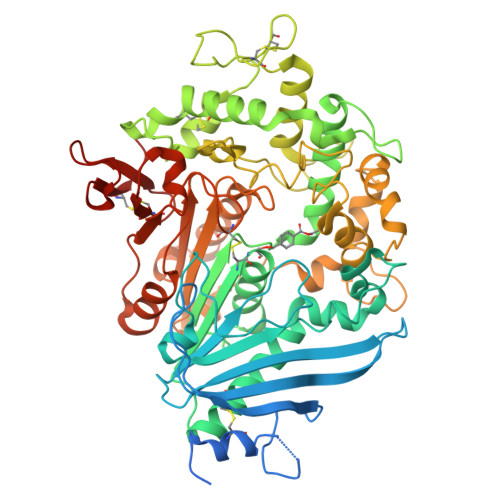 RCSB PDB - 6JTT: MHETase in complex with BHET