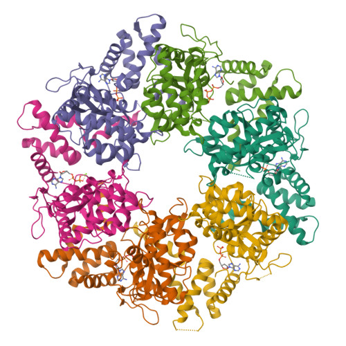 RCSB PDB - 6K0R: Ruvbl1-Ruvbl2 with truncated domain II in complex with ...