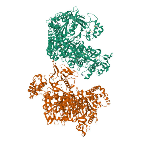 RCSB PDB - 6K31: Crystal structure of pyrophosphate-dependent ...