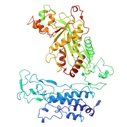 RCSB PDB - 6K4N: Cryo-EM structure of p300