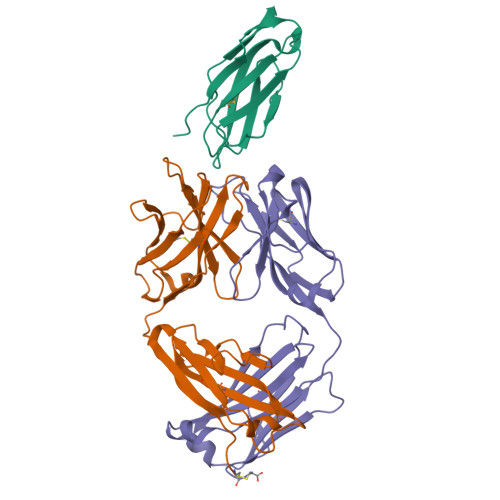 RCSB PDB - 6K7O: Complex structure of LILRB4 and h128-3 antibody