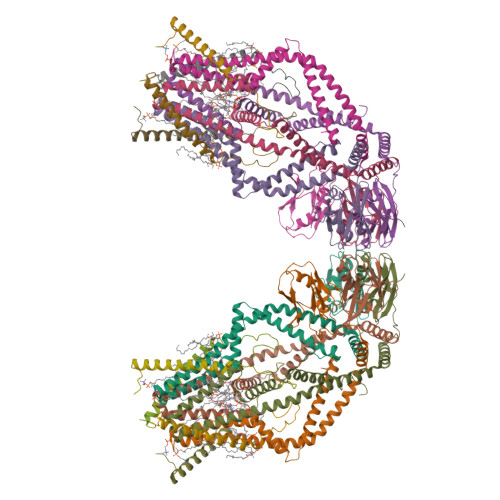 RCSB PDB - 6K7X: Human MCU-EMRE complex