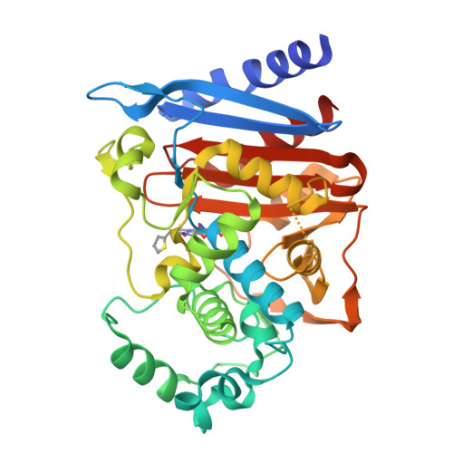 RCSB PDB - 6KA5: Crystal structure of a class C beta-lactamase in ...