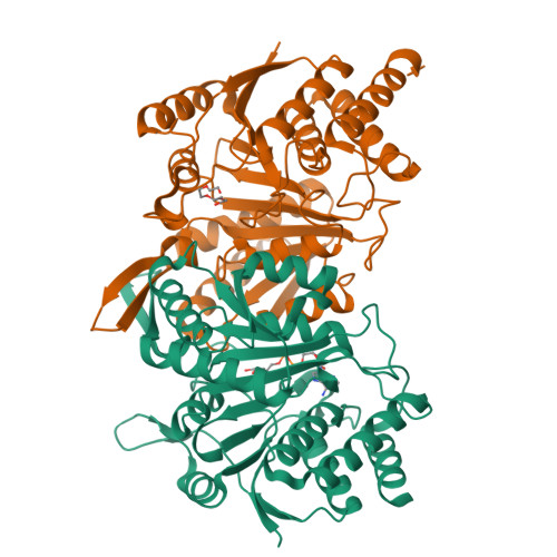 RCSB PDB - 6KDY: Crystal structure of the alpha bata heterodimer of ...