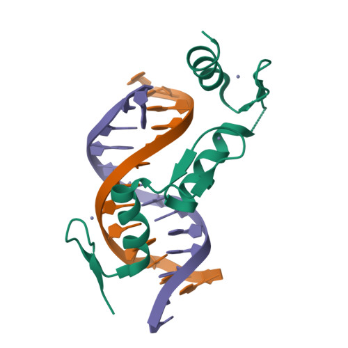 RCSB PDB - 6KI6: Crystal structure of BCL11A in complex with gamma ...