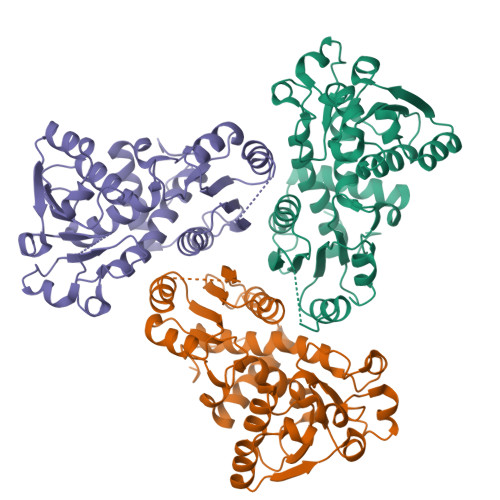 RCSB PDB - 6KJ9: E. coli ATCase catalytic subunit mutant - G128/130A