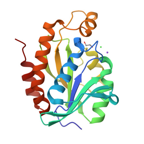 RCSB PDB - 6KL8: Crystal structure of Piptidyl t-RNA hydrolase from ...