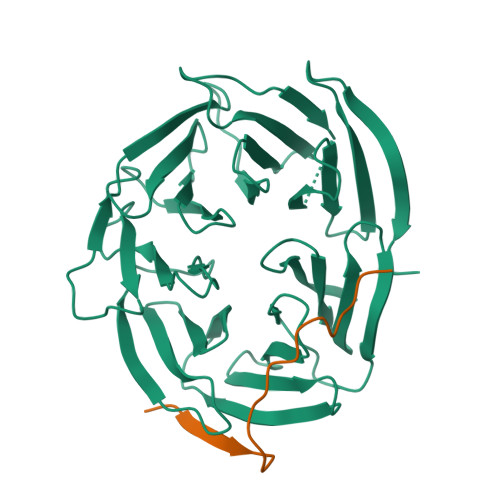 RCSB PDB - 6KLR: Crystal structure of human WIPI3 in complex with the ...