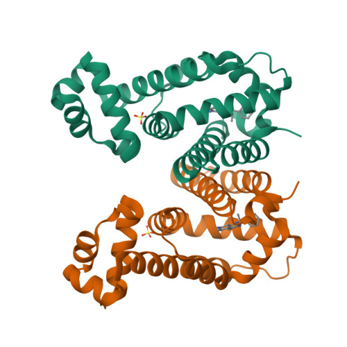 RCSB PDB - 6KO7: Crystal structure of the Ethidium bound RamR ...