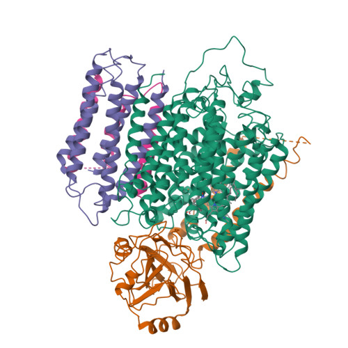 RCSB PDB - 6KOE: X-ray Structure of the proton-pumping cytochrome aa3 ...