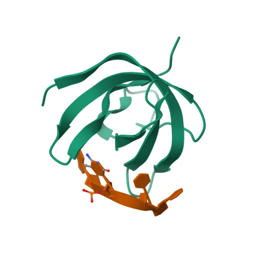 RCSB PDB - 6KTC: Crystal structure of YBX1 CSD with m5C RNA