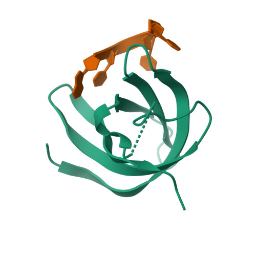 RCSB PDB - 6KUG: Crystal structure of YBX1 CSD with RNA