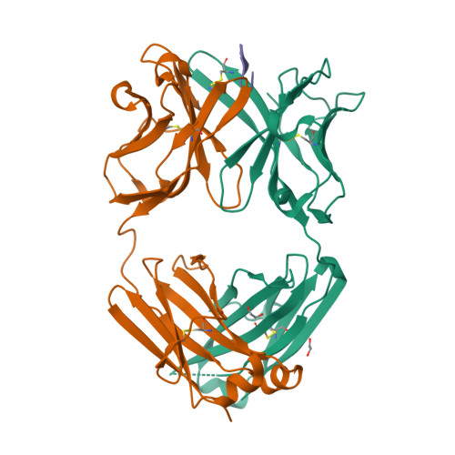 RCSB PDB - 6KVA: Structure of anti-hCXCR2 abN48-2 in complex with its ...