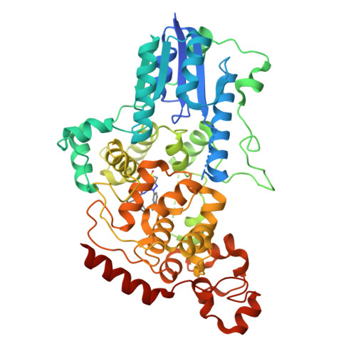 RCSB PDB - 6KX8: Crystal structure of mouse Cryptochrome 2 in complex ...