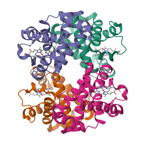 RCSB PDB - 6KYE: The crystal structure of recombinant human adult ...