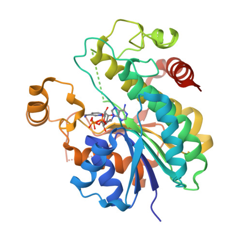 RCSB PDB - 6L1H: Crystal structure of light-dependent ...