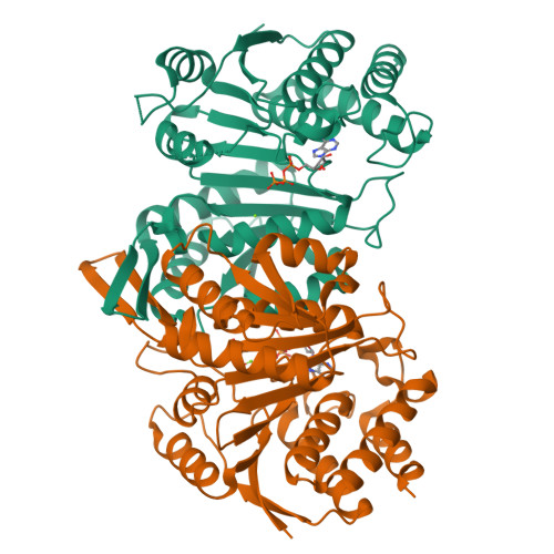 RCSB PDB - 6L59: Crystal structure of the alpha gamma heterodimer of ...