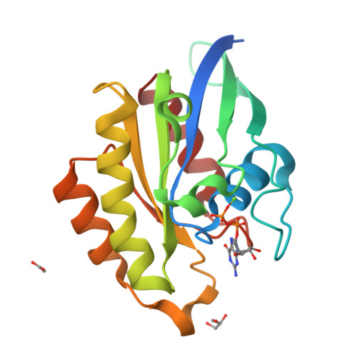 RCSB PDB - 6L6O: Crystal structure of stabilized Rab5a GTPase domain ...