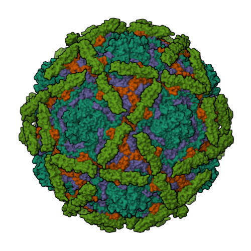 RCSB PDB - 6LA5: Cryo-EM structure of echovirus 11 complexed with its ...
