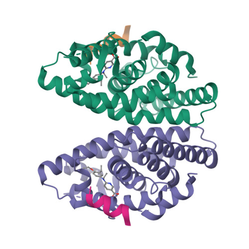 RCSB PDB - 6LB6: Crystal structure of dimeric RXR-LBD complexed with ...