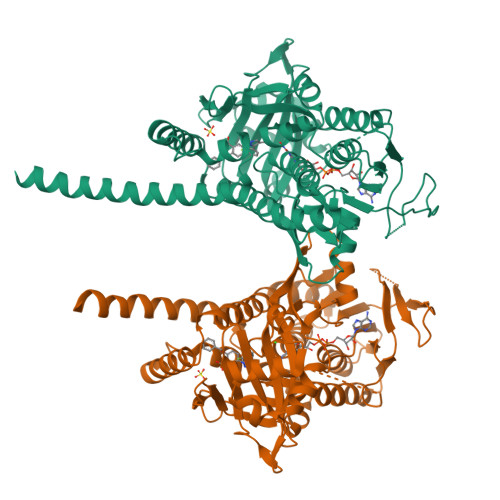 RCSB PDB - 6LKD: in meso full-length rat KMO in complex with a pyrazoyl ...