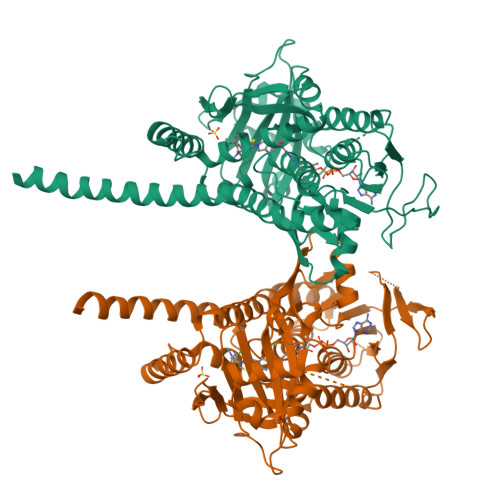 RCSB PDB - 6LKE: in meso full-length rat KMO in complex with an ...