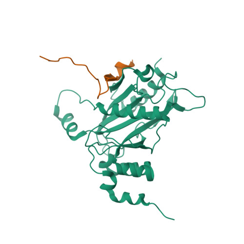RCSB PDB - 6LPH: the Sufu-Fu complex crystal structure
