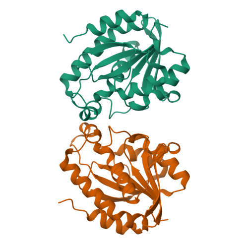 RCSB PDB - 6LSO: Crystal structure of a dimeric inhibited of peptidyl ...