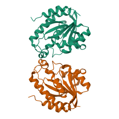 RCSB PDB - 6LSP: Crystal structure of a dimeric Piptidyl t-RNA ...
