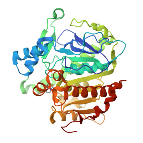 RCSB PDB - 6M06: Crystal structure of Lp-PLA2 in complex with a novel ...