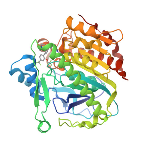 RCSB PDB - 6M07: Crystal structure of Lp-PLA2 in complex with a novel ...