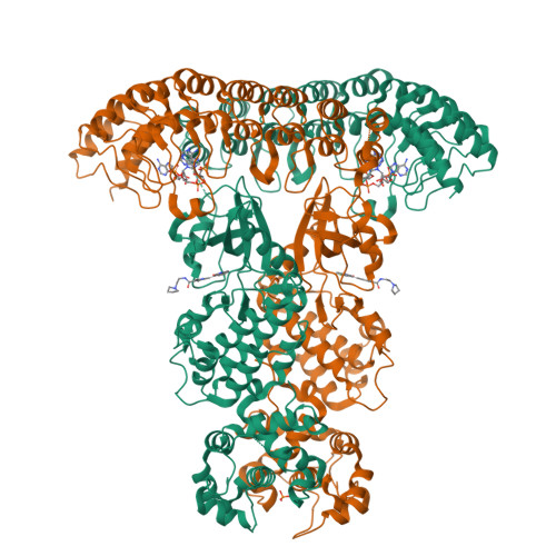 RCSB PDB - 6M13: Crystal structure of Rnase L in complex with Toceranib
