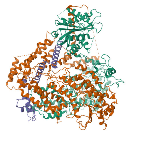 RCSB PDB - 6M5R: The coordinates of the apo monomeric terminase complex