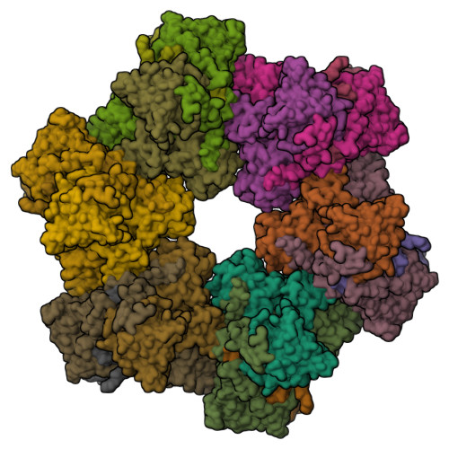 RCSB PDB - 6M5S: The coordinates of the apo hexameric terminase complex