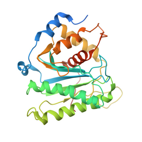 RCSB PDB - 6M5T: The coordinate of the nuclease domain of the apo ...