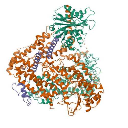 RCSB PDB - 6M5V: The coordinate of the hexameric terminase complex in ...