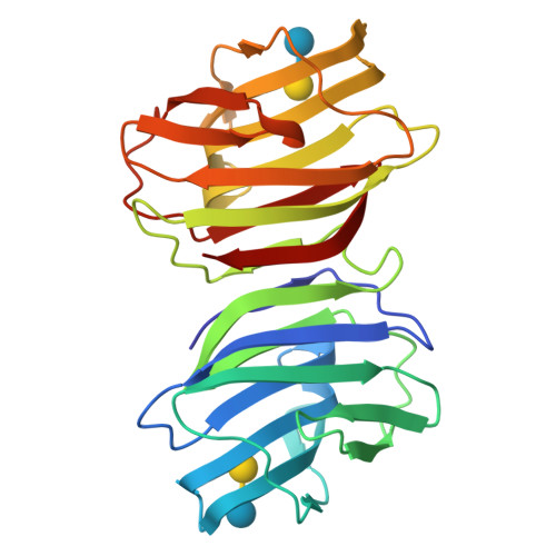 RCSB PDB - 6M5Y: Structure of human galectin-1 tandem-repeat mutant ...