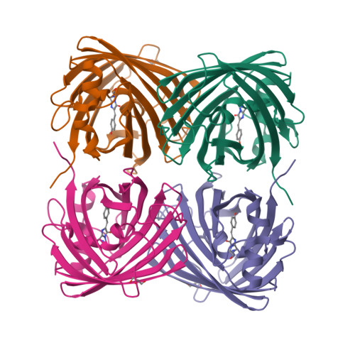 RCSB PDB - 6MAS: X-ray Structure of Branchiostoma floridae fluorescent ...